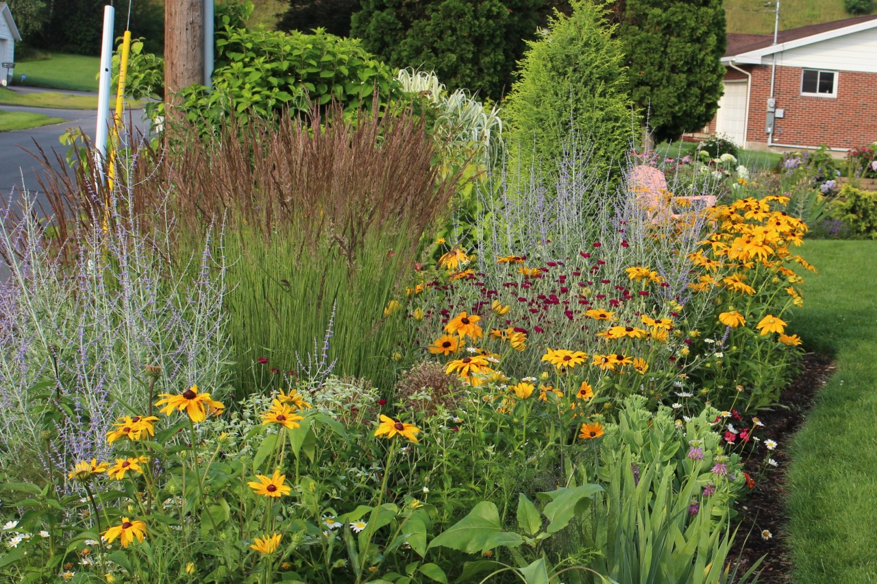 Hello Susan « sorta like suburbia